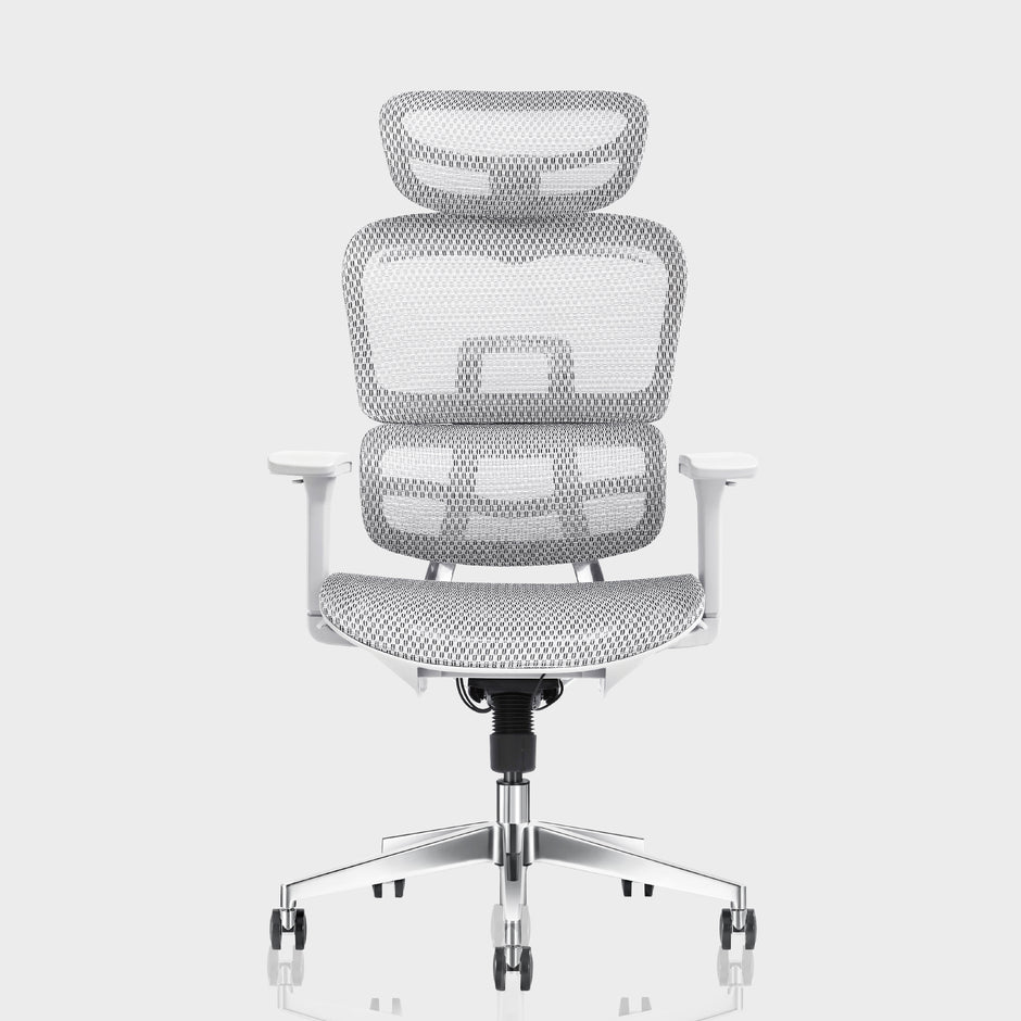 Premium Chairs – HOF - Furniture & More